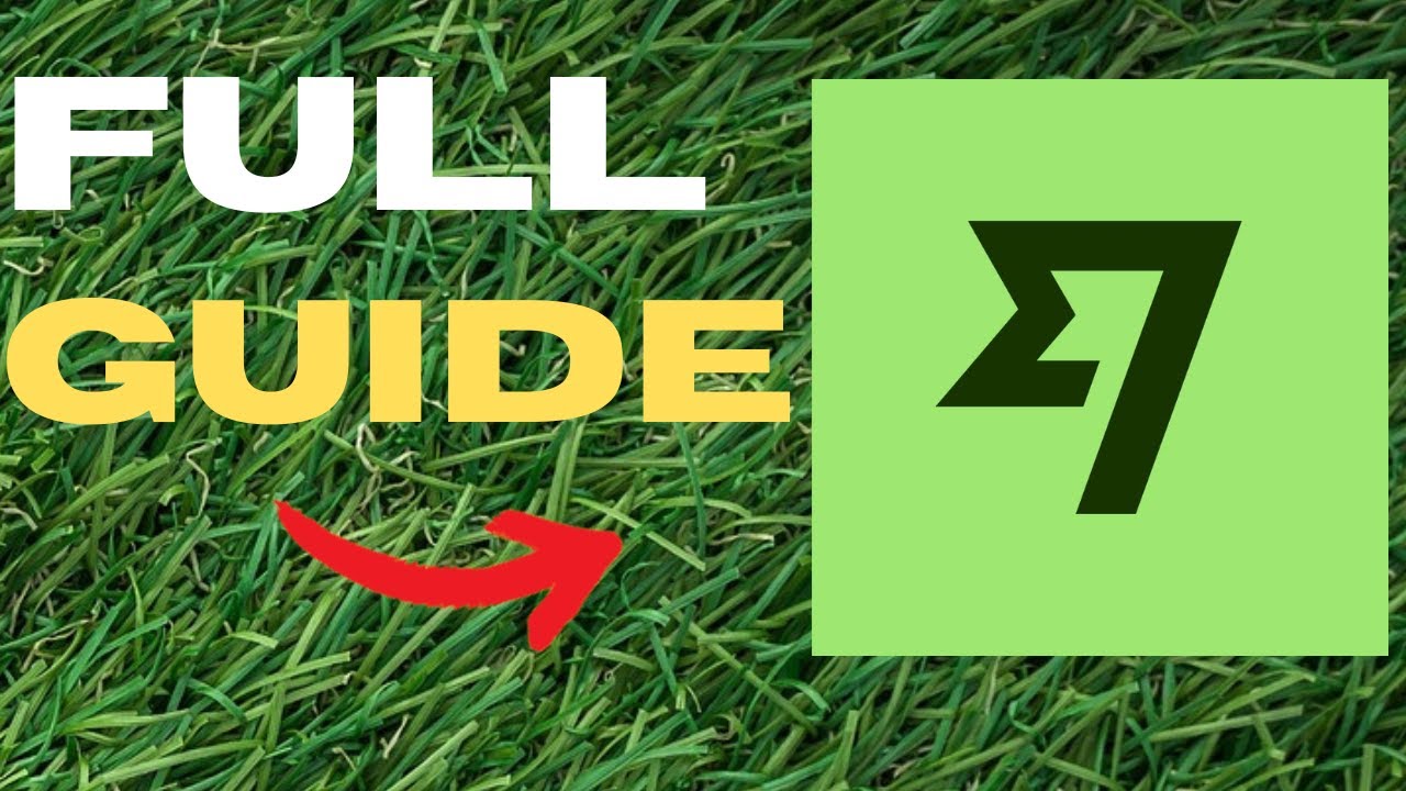 The TRUTH about WISE Payment Platform - Full Analysis