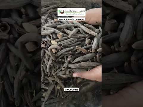 Marathi Moggu - Kapok Buds Latest Price, Manufacturers & Suppliers