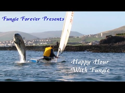 Fungie the Friendly Dingle Dolphin | Kerry Ireland
