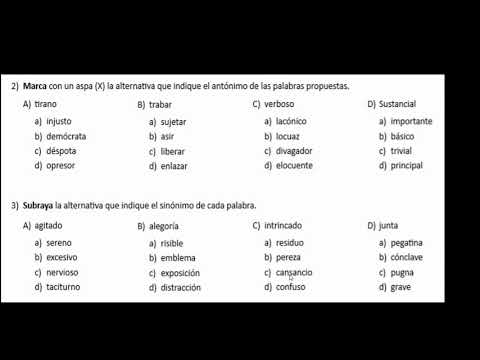 SINÓNIMOS II
