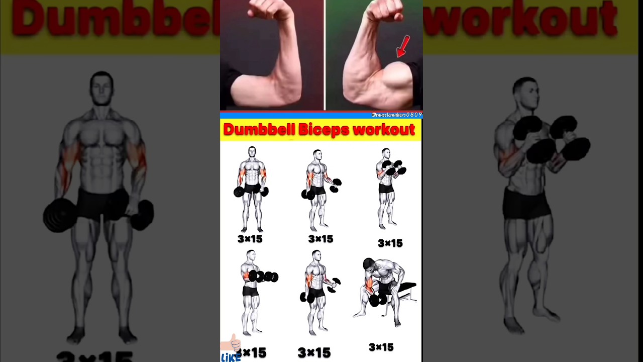 Dumbbell only BICEP WORKOUT!💪🏾#shorts #short #youtubeshorts #trending #youtube