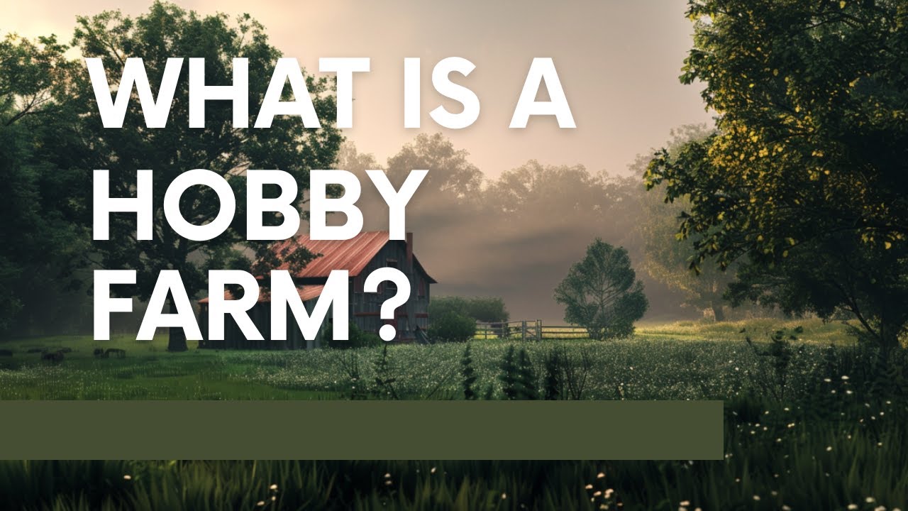 What is a Hobby Farm and How It Can Be a Tax Haven?