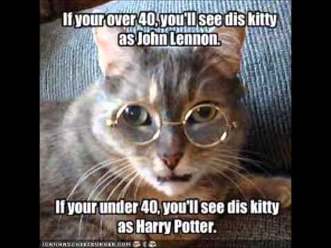 Funny Animal sayings