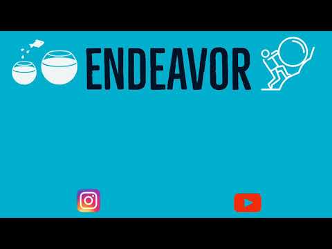 Endeavor Meaning Sentence Synonyms In Hindi/ Urdu