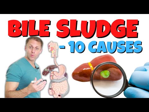 What Causes Poor Bile Flow and Gallbladder Sludge