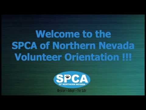 SPCA of Northern Nevada Volunteer Orientation