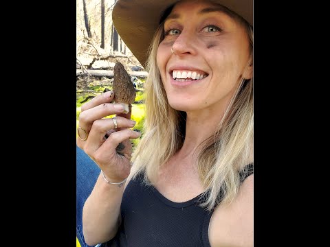 What's in a Name? Mycology Etymology with Anna Henning