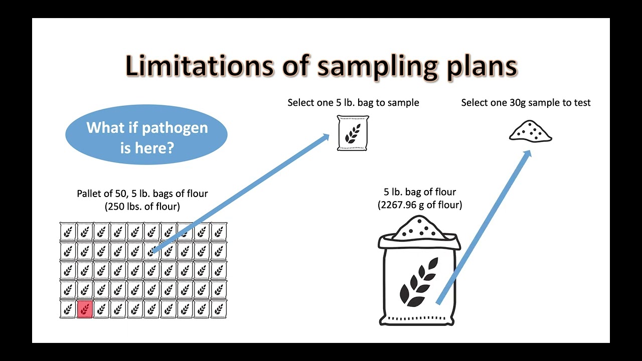 Microbial Sampling Plans