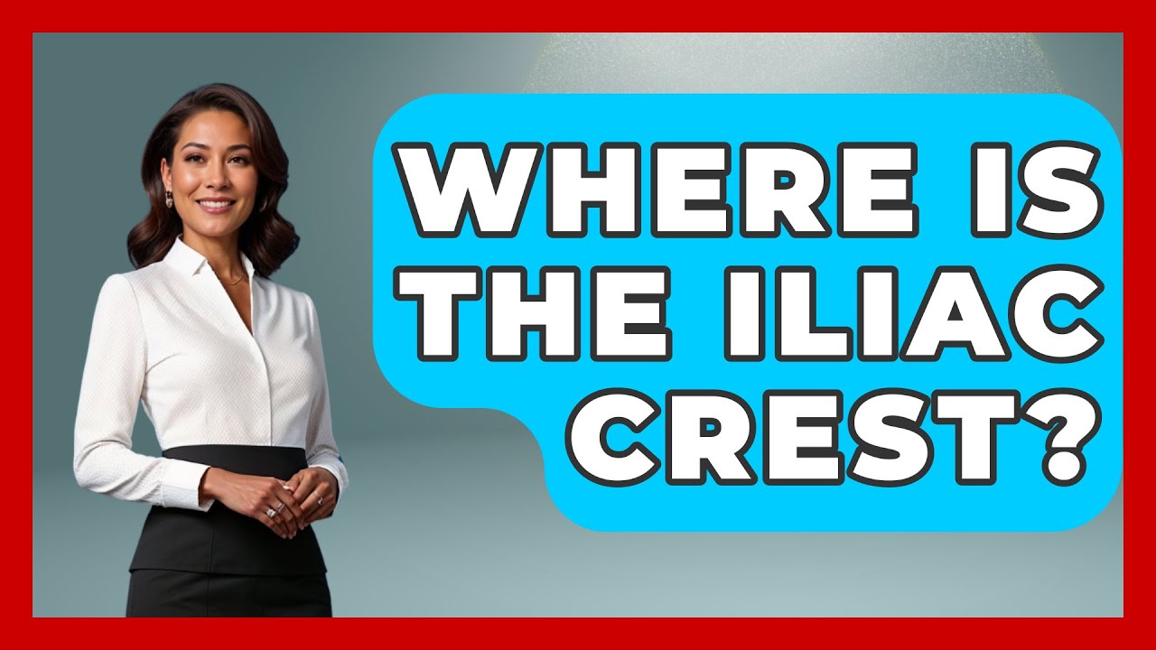 Where Is The Iliac Crest? - The Operating Table