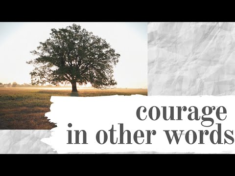Courage in Other Words