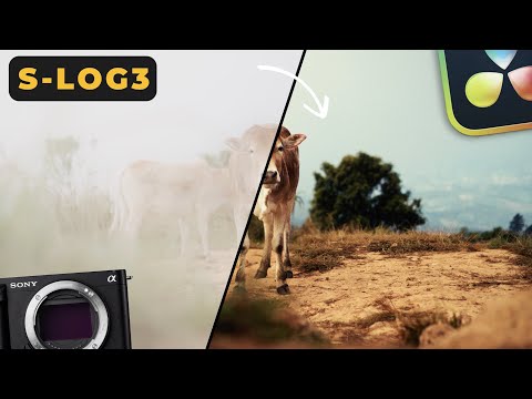 Sony ZV-E1: Color grading S-Log3 (DaVinci Resolve)