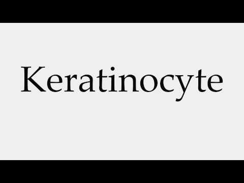 How to Pronounce Keratinocyte