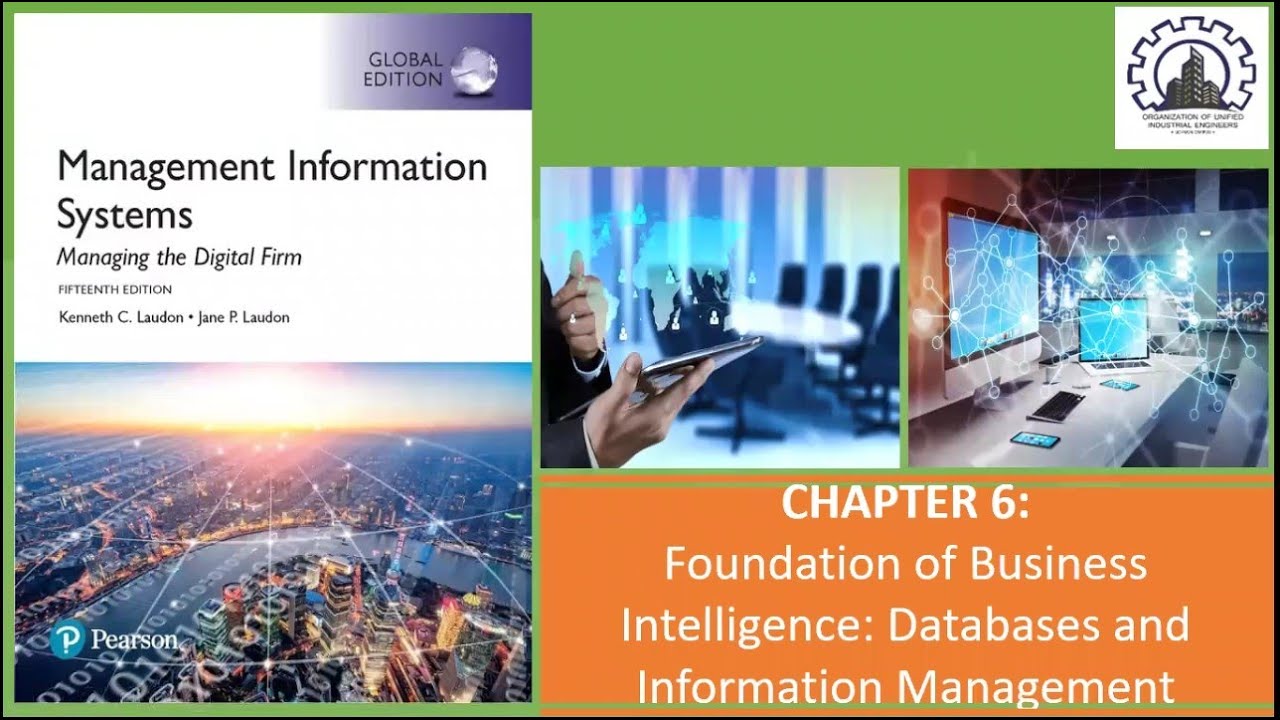 CHAPTER 6: Foundation of Business Intelligence: Databases and Information