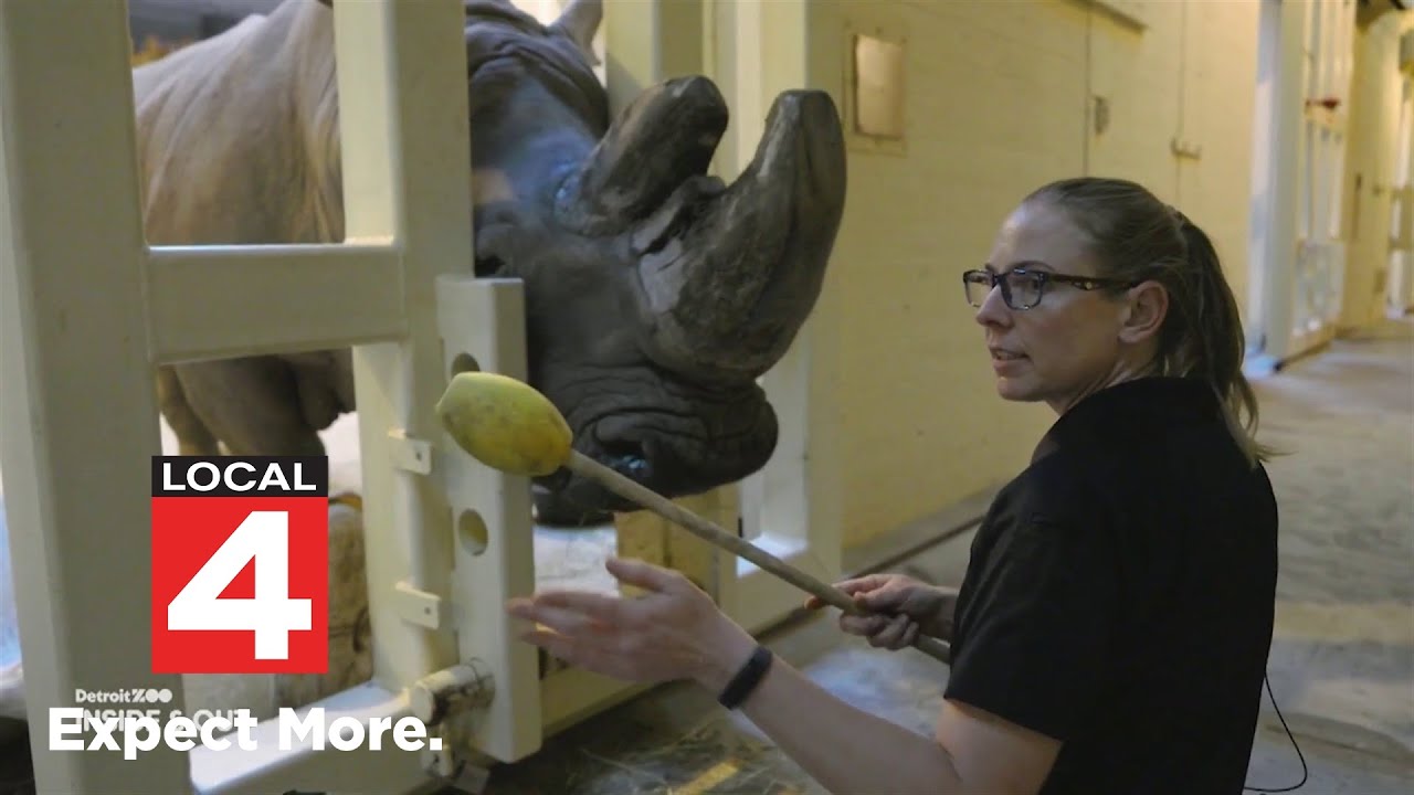 Detroit Zoo: Inside & Out -- Animals big and small