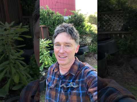 How To Set Up An Earth Machine 80 Gallon Composter - Part 1 (Introduction)