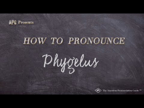 How to Pronounce Phygelus (Real Life Examples!)
