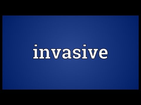 Invasive Meaning