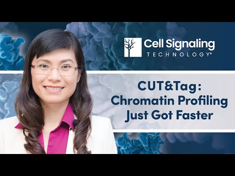 Chromatin Profiling Just Got Faster with CUT&Tag | Cell Signaling Technology