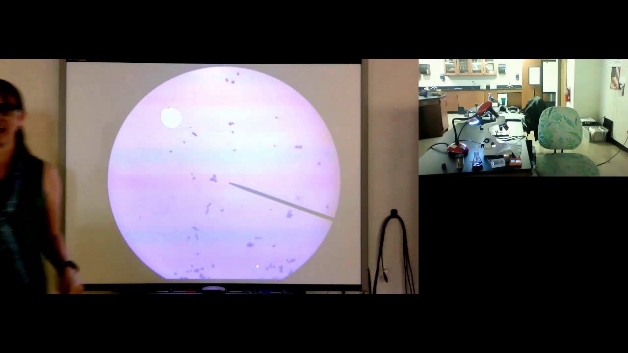 Cheek Cells Virtual Lab