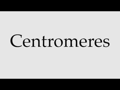 How to Pronounce Centromeres