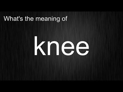 Enhance Your Vocabulary! Learn How to Use "knee" in English