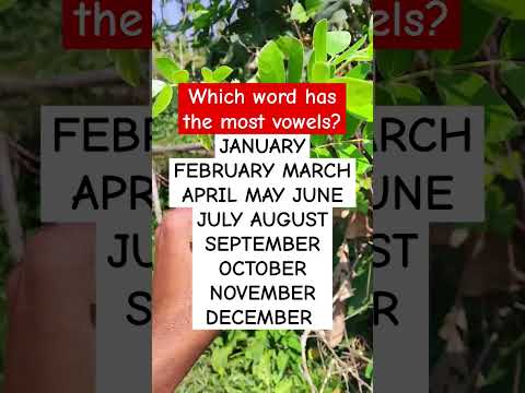 Which word has the most vowels? #shorts #puzzle #search