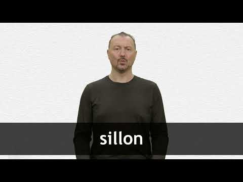 English Translation of “SILLON” | Collins French-English Dictionary