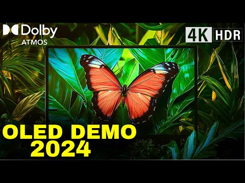2024 OLED DEMO: Dolby Atmos Breakthrough in Next-Gen TV Technology!