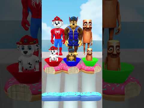 Marshall’s Family vs Chase vs Tung Tung Sahur - Who Slides Fastest? 🌈#shorts #funny #trending