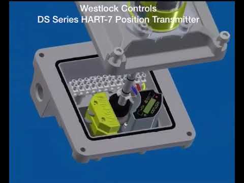 Westlock Controls DS Series HART