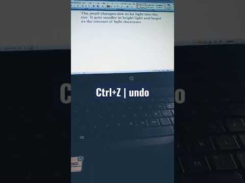 Ctrl+Z | Undo | computer/laptop