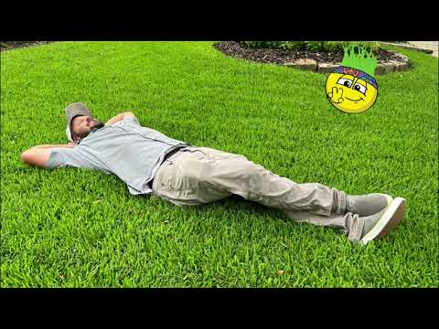 Lawn Care done different. The SSBTrain Series. From Microbes to organic Matter and Your Lawn