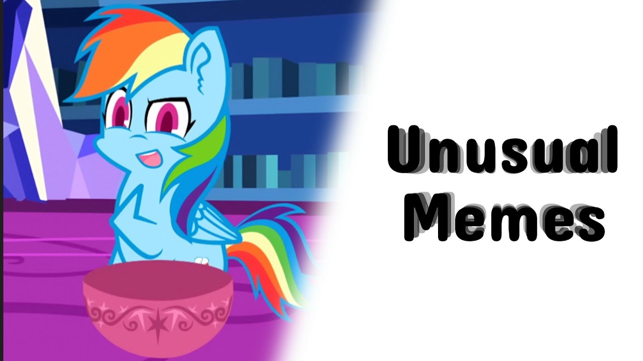 Unusual ask ponies / extra for magpiepony