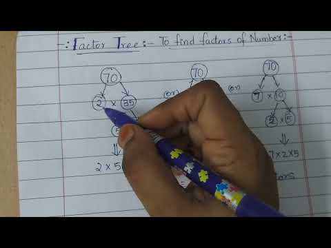 Class 6 Maths Chapter 3 Factor,Finding factors using Factor tree||Problems||Textbook Exercises