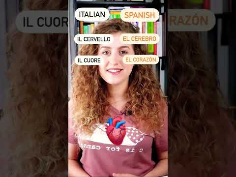 ITALIAN AND SPANISH VOCABULARY 🇮🇹 🇪🇸