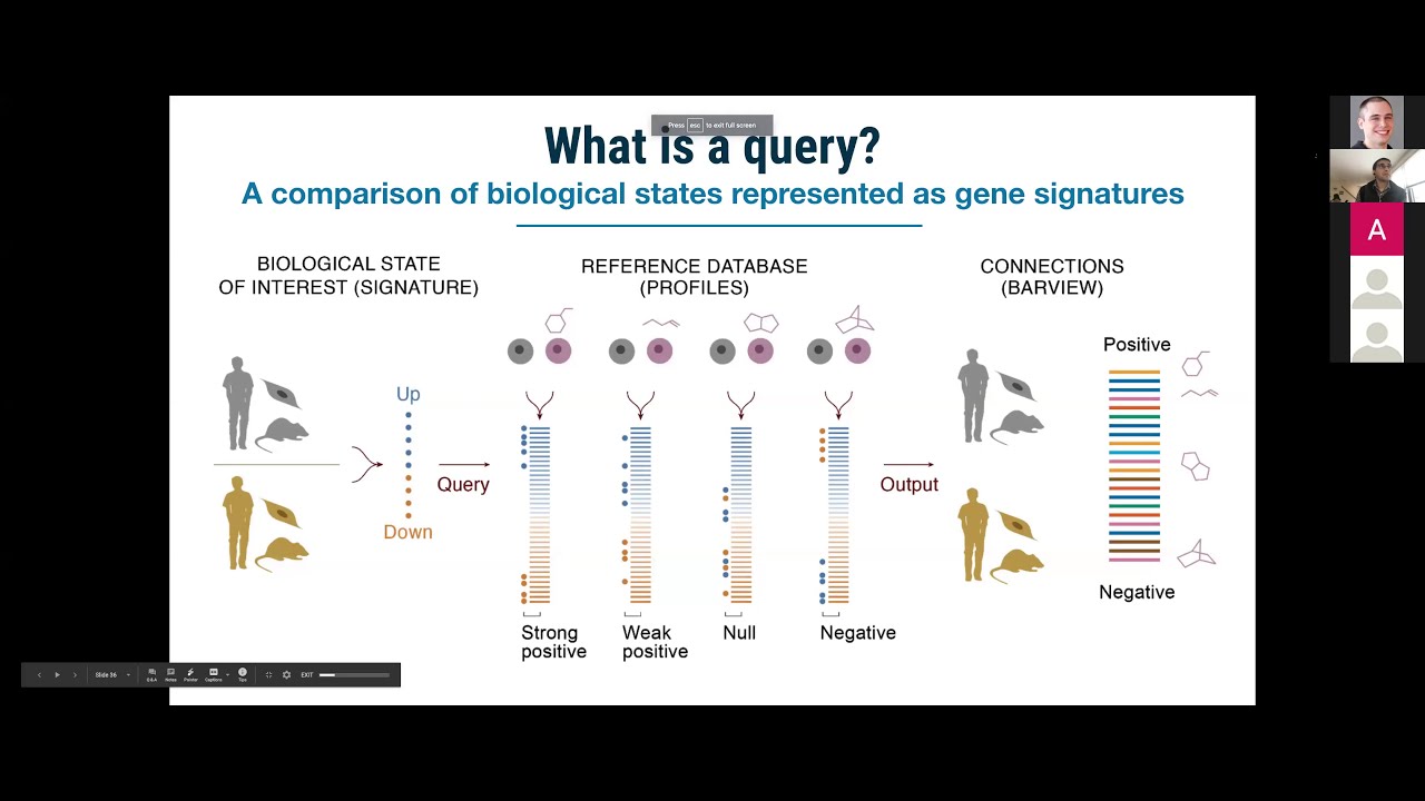 CMap LINCS Workshop 2020 Day 2 - Analysis Methods
