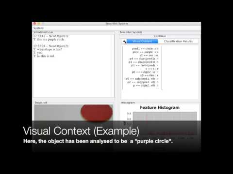 interactive learning of visually grounded word meaning from a human tutor