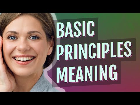 Basic principles | meaning of Basic principles