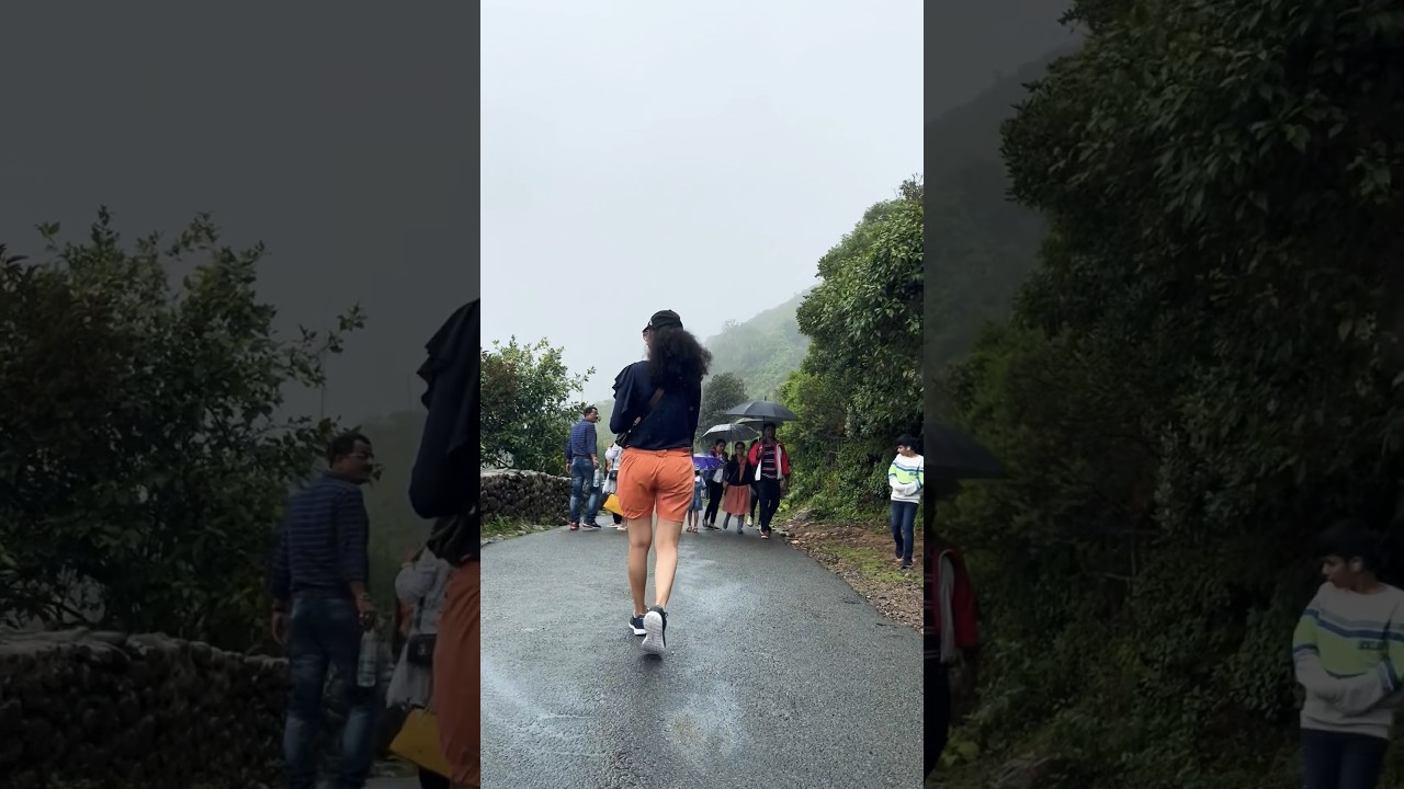 🌴❤️ #travel #travelvloger #nature #kerala #love #trending #rain #fog #love #youtubeshorts #youtube