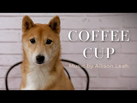 "Coffee Cup" by Allison Leah (FAN MADE MV)