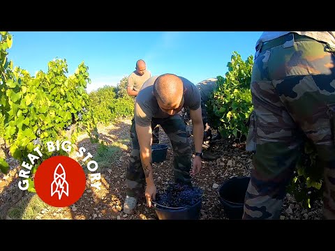 Visiting a French Winery Run by Veterans