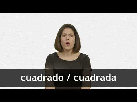 English Translation of “CUADRADO” | Collins Spanish-English Dictionary