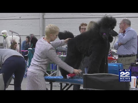 Eastern States Exposition hosts Great Barrington Kennel Club Dog Show