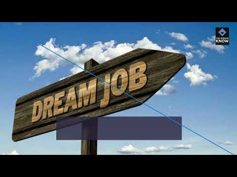 job Market Discrimination Strategies for Combatting Bias