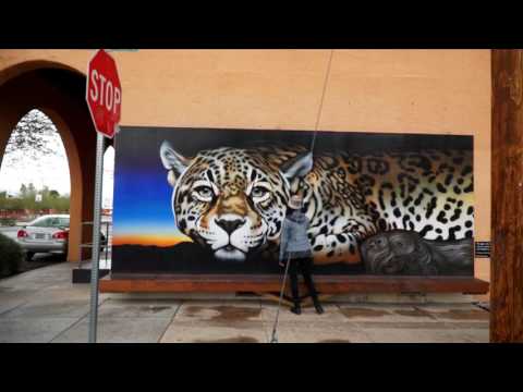 520 | Tucson, Arizona