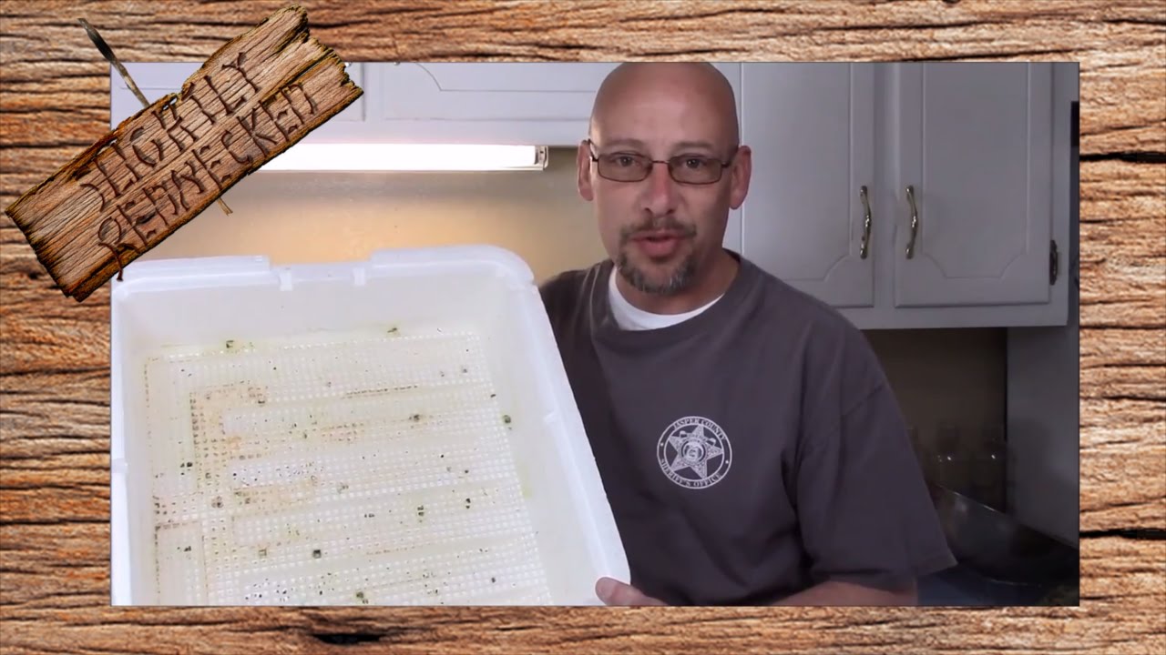 Improving Your Hatch Rate - Part 5: Sanitizing Your Incubator