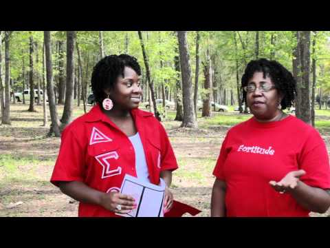 Tallahassee Alumnae Chapter of Delta Sigma Theta Sorority, Inc. - Red Elephant PSA