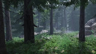 4K Skyrim SE 2022 Ultra Modded with Rudy ENB at Skyrim Special Edition ...