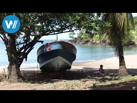 St. Vincent & Dominica - Inseln in der Karibik (Reisedoku in HD aus der Reihe "Caribbean Moments")
