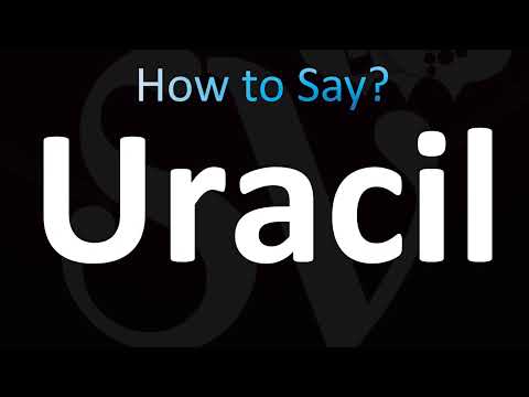 How to Pronounce Uracil (CORRECTLY!)